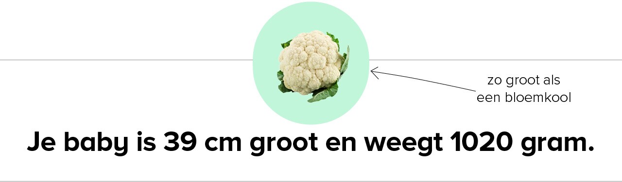 28 weken zwanger I Het laatste trimester en je buik groeit