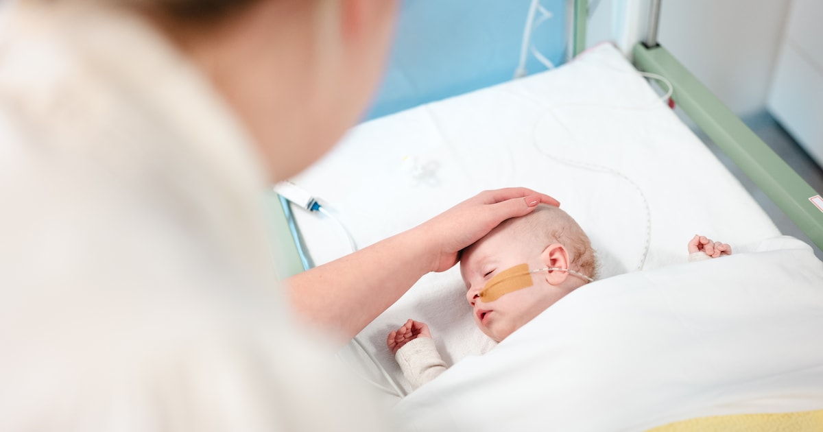 Onderzoek: afwijking in placenta vaak oorzaak van hersenschade bij baby ...