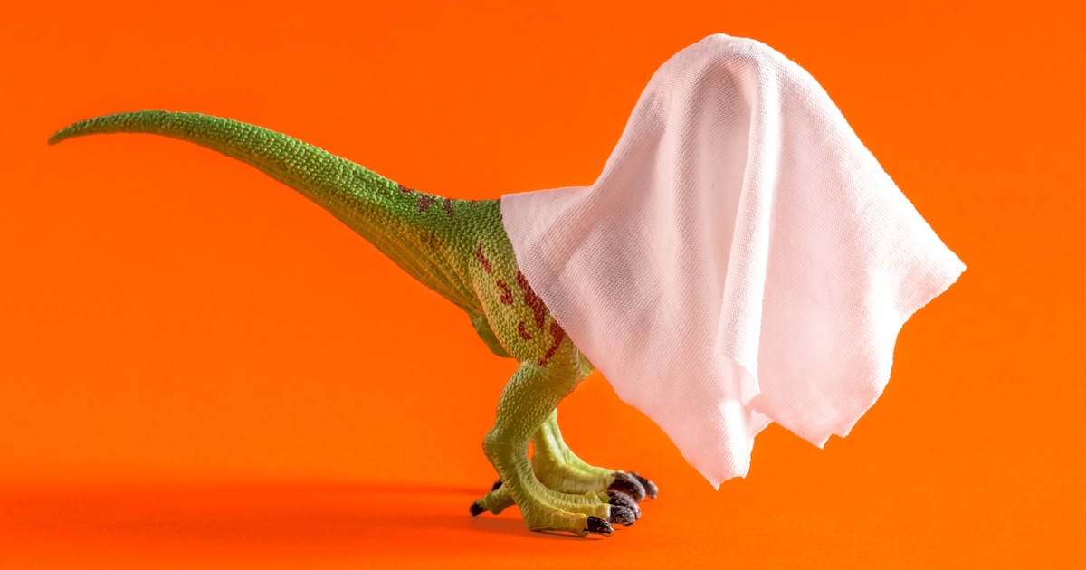 Eendenbek inbrengen: angst voor een inwendig onderzoek